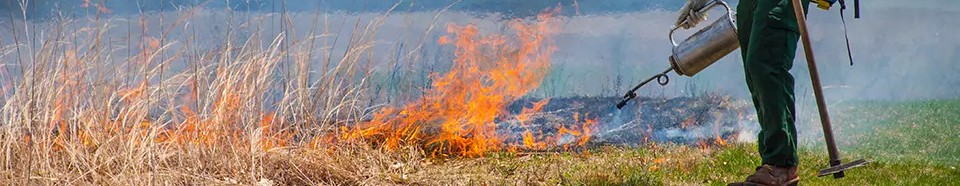 Prescribed Burn Schedule – Walkerfire.org